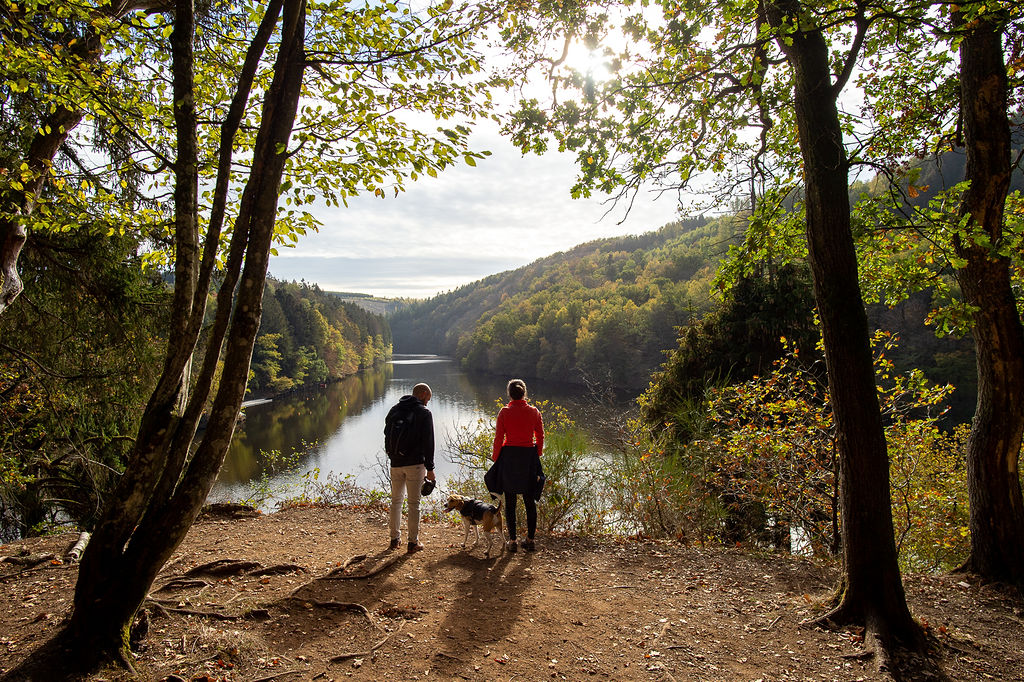 TOP 5 : les plus belles balades d’automne à faire en Ardenne - Oui, go