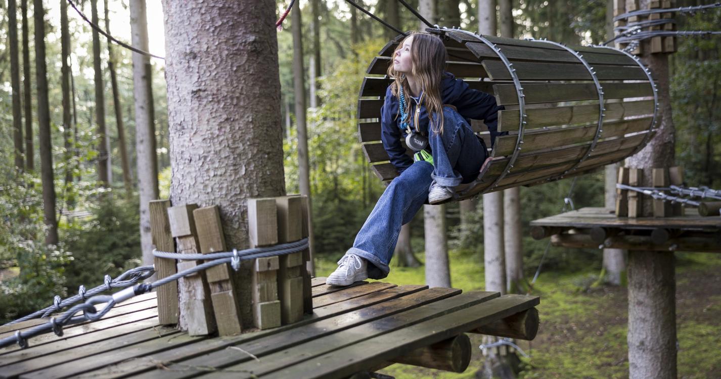 Forestia, parc animalier et parc d'aventures, province de Liège
